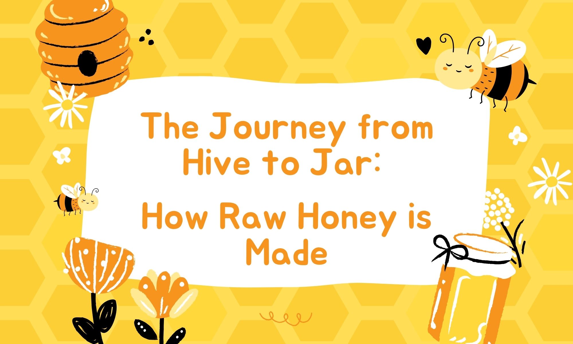The Journey from Hive to Jar: How Raw Honey is Made - haritved.com